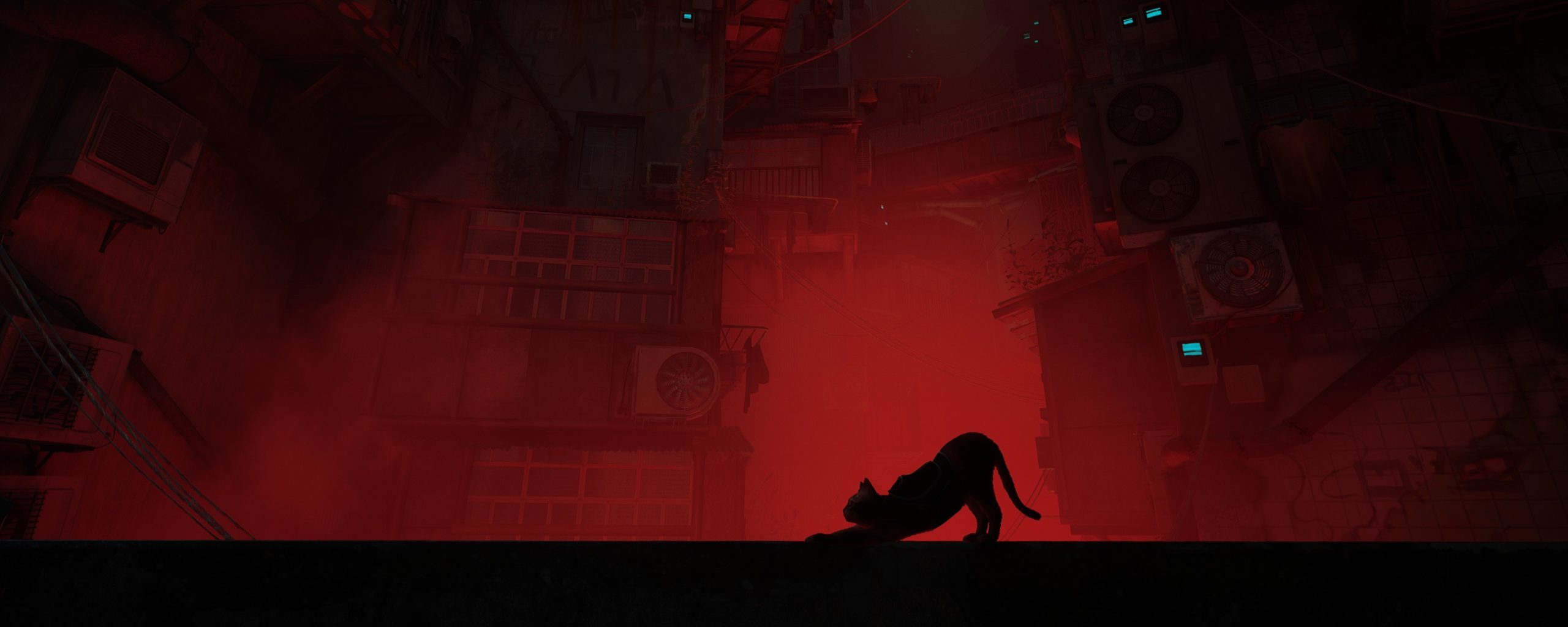 Stray ya está disponible en formato físico para PlayStation 5